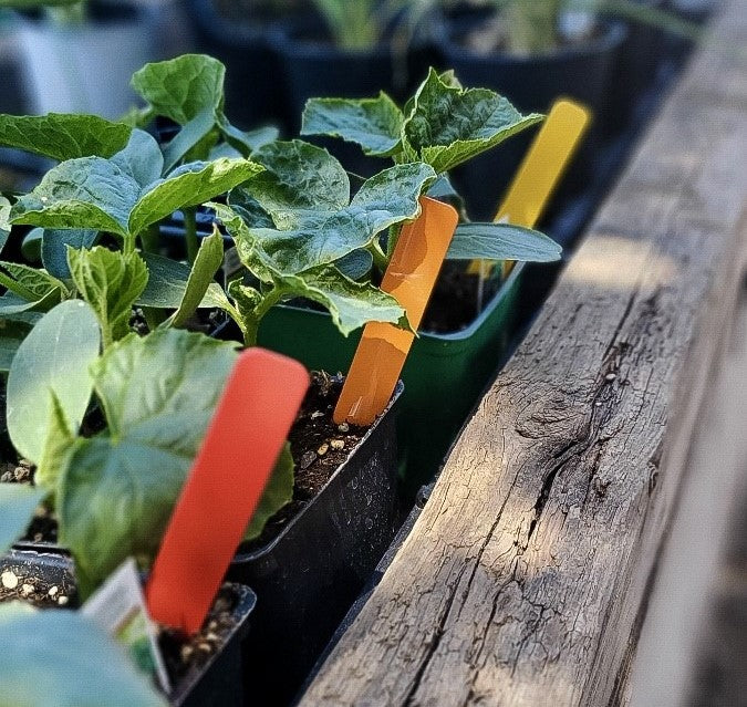 Made in USA Plant tags, labels, and pot stakes – S.G.Daley Mfg. Co.